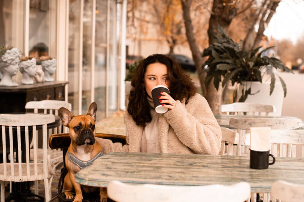 Dog Friendly Coffee Shops In Northern Virginia - Top 9