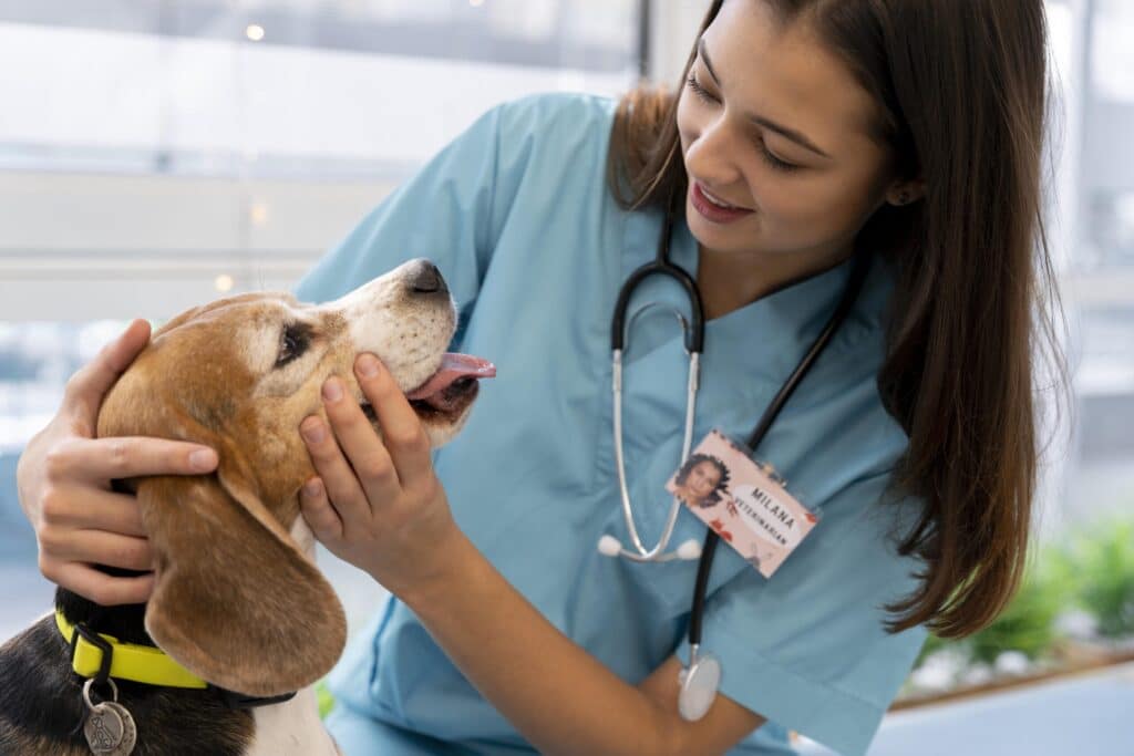 The 5 Most Common Dog Health Problems And How To Prevent Them